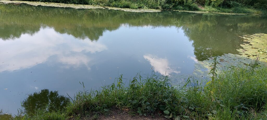 Plaj Пляж, Maloyaroslavets, foto