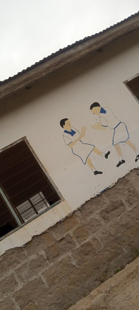 Ortaokul Randy progressive school, Dünya, foto