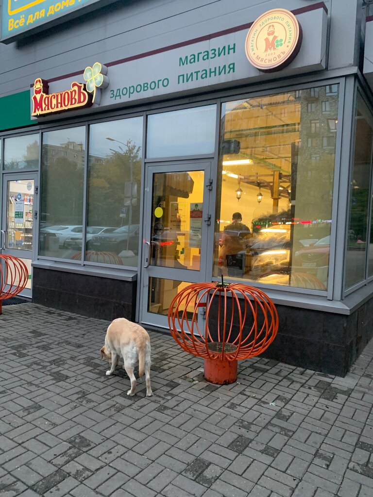 Market CoolClever, Mytişçi, foto