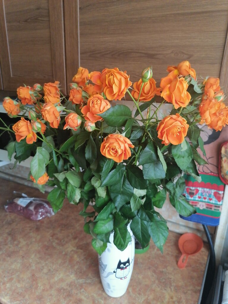 Çiçekçiler Цветы, Moskova, foto