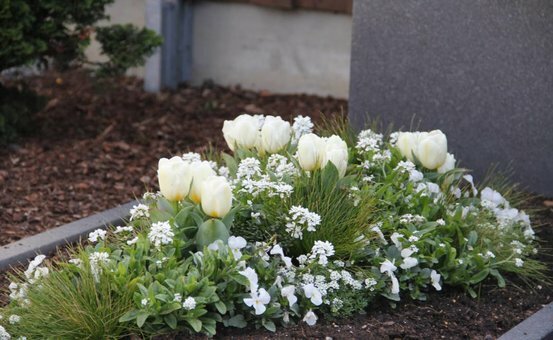 Çiçek teslimatı Blumen Konzelmann-Höfer GmbH & Co. Kg, Baden‑Wurttemberg, foto