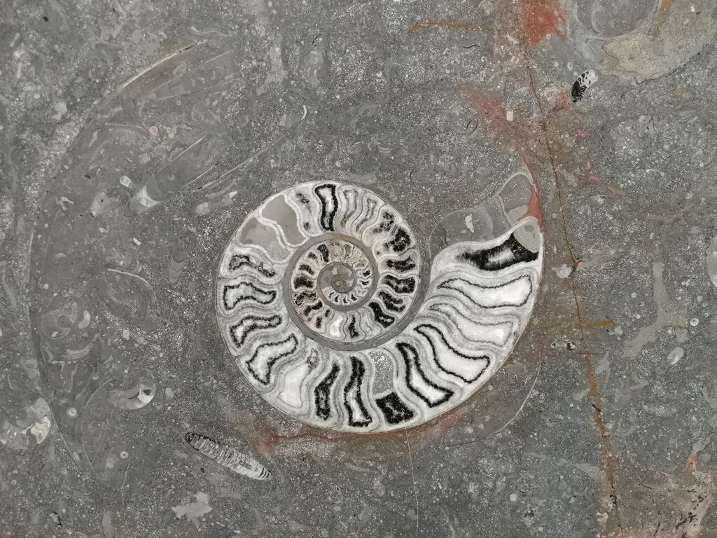 Taş ürünler ve yapılar Stark-Kamen, Moskova, foto