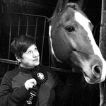 Mattieson Law, Plc (Michigan, Wayne County, Northville), avukatlar  Northville'den