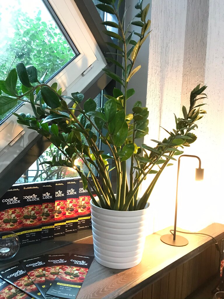 Pizzacılar Cook&clock, Odintsovo, foto