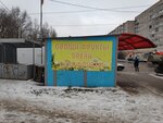 Овощи и фрукты (Velikiy Novgorod, Kolmovo District, 239th Quarter), manavlar  Velikiy Novgorod'dan