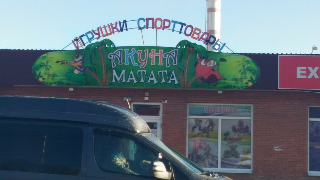 Çocuk oyunları ve oyuncakları Акуна матата, Taganrog, foto