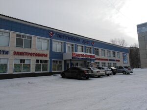 Автосервис (ulitsa Soyuza Respublik No:24, Zarinsk), otomobil servisi  Zarinsk'ten