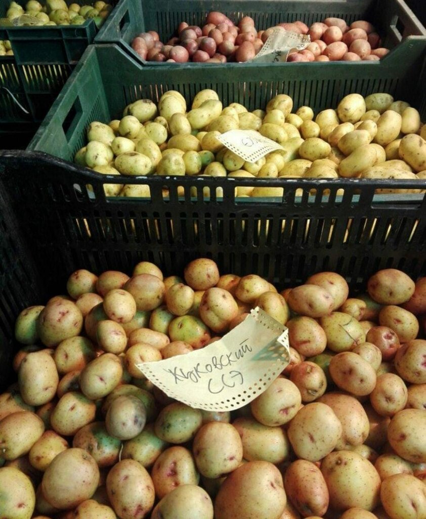 Teslimat noktası AgroHarvest.ru, Moskova, foto
