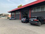 Autocarrozzeria B. M. G. - VIA Frank (Emilia-Romagna, Reggio Emilia, Via Anna Frank, 16), çekici hizmeti  Rovigo'dan