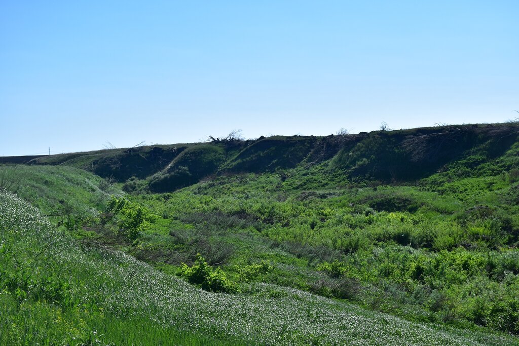 Doğa Тарпановские обрывы, Orenburgskaya oblastı, foto