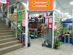 Семена (Gagarina Street No:31), tohum satan yerler  Kolçugino'dan