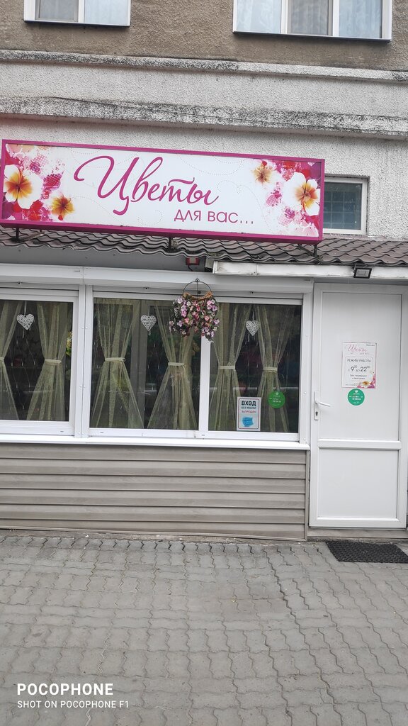 Çiçekçiler Цветы для вас, Stariy Oskol, foto