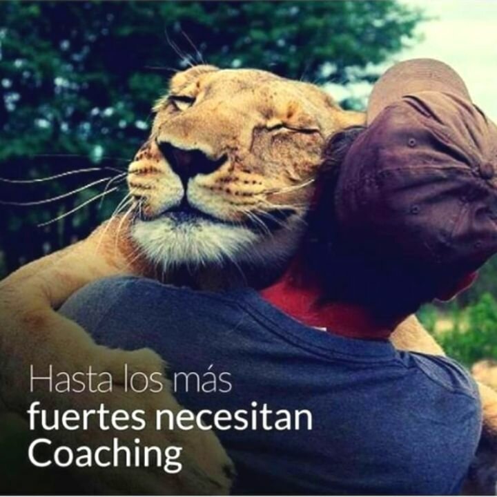 Alternatif tıp merkezleri Alma Y Vida Coach, , foto
