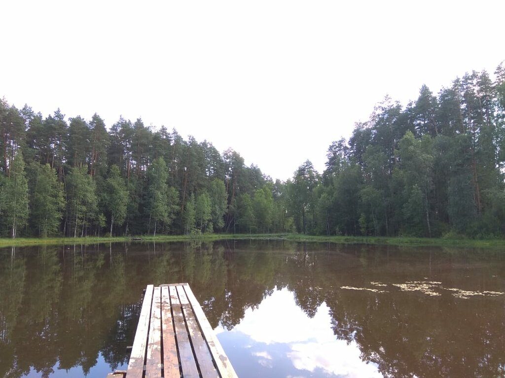 Plaj Пляж, Moskova ve Moskovskaya oblastı, foto