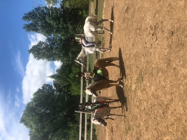 At ve binicilik kulüpleri Золотая лошадь, Samarskaya oblastı, foto