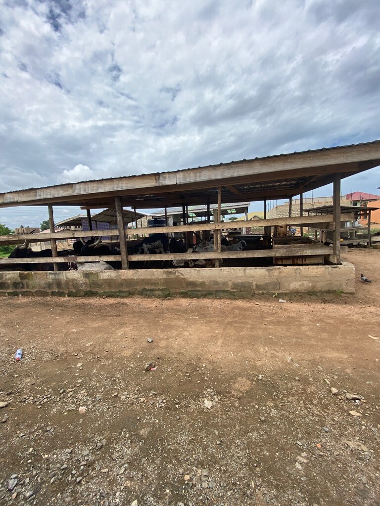 Tarım firmaları Allahu Farms, Dünya, foto
