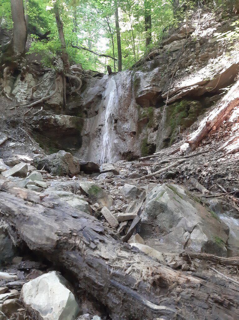 ATV turu Prokat Kvadro 23, Krasnodarski krayı, foto