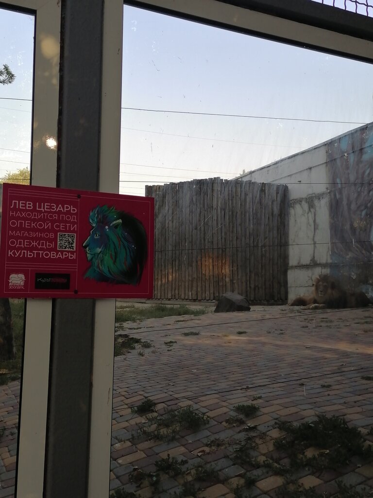 Hayvan muhafazaları Львы, Rostov‑na‑Donu, foto