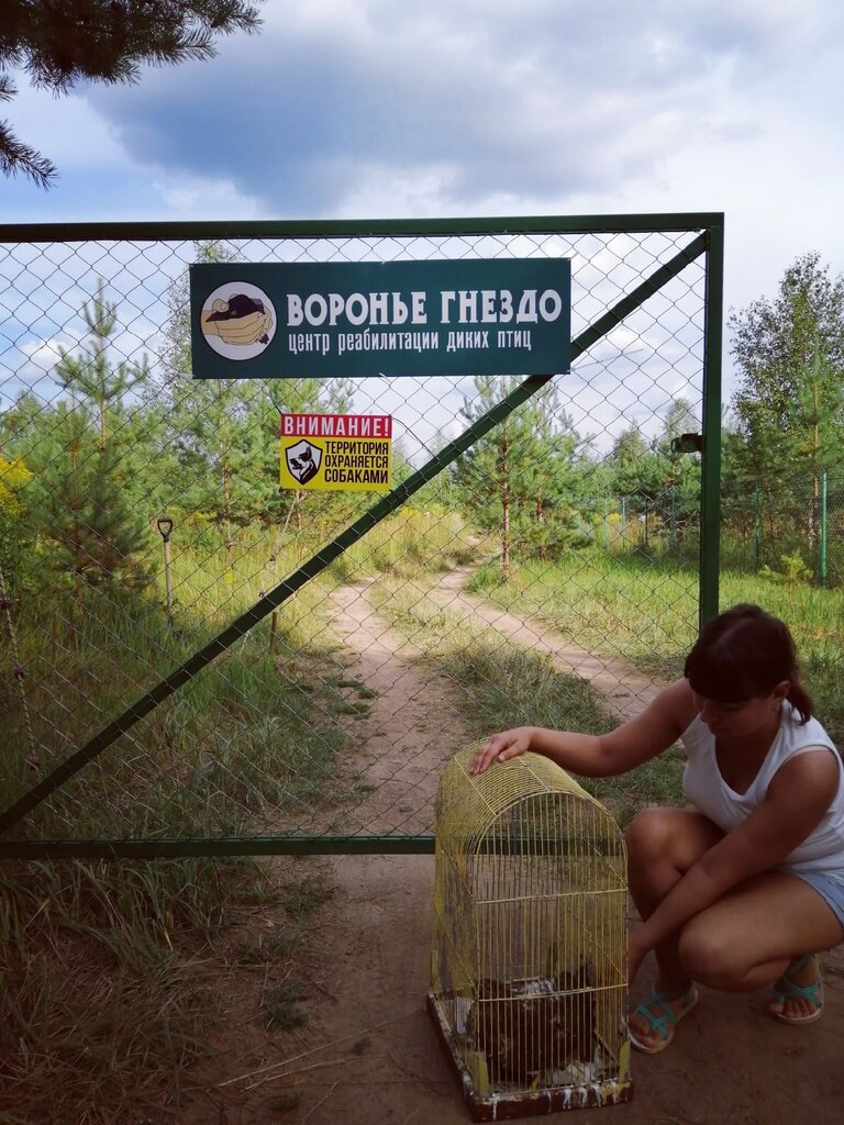 Yardım kuruluşları Bf Voronye gnezdo, Moskova, foto