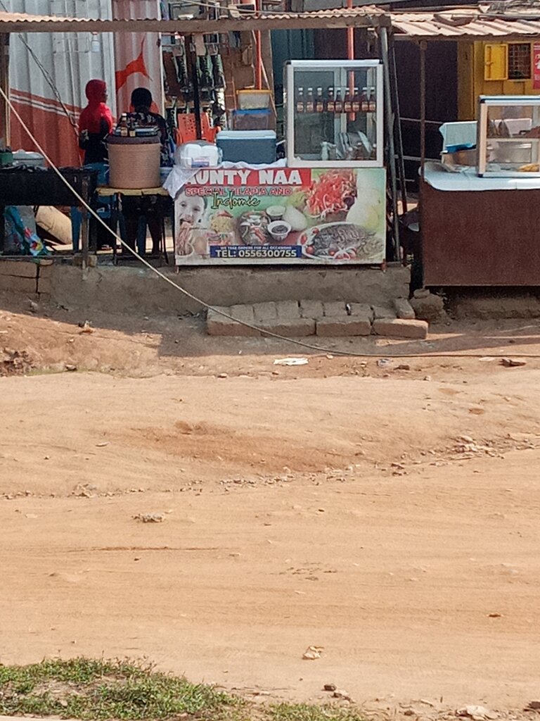 Catering firmaları Aunty Naa food joint, Dünya, foto