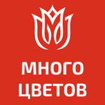 Mnogo Cvetov (Leningradskaya Street No:9Ас1), çiçekçiler  Himki'den