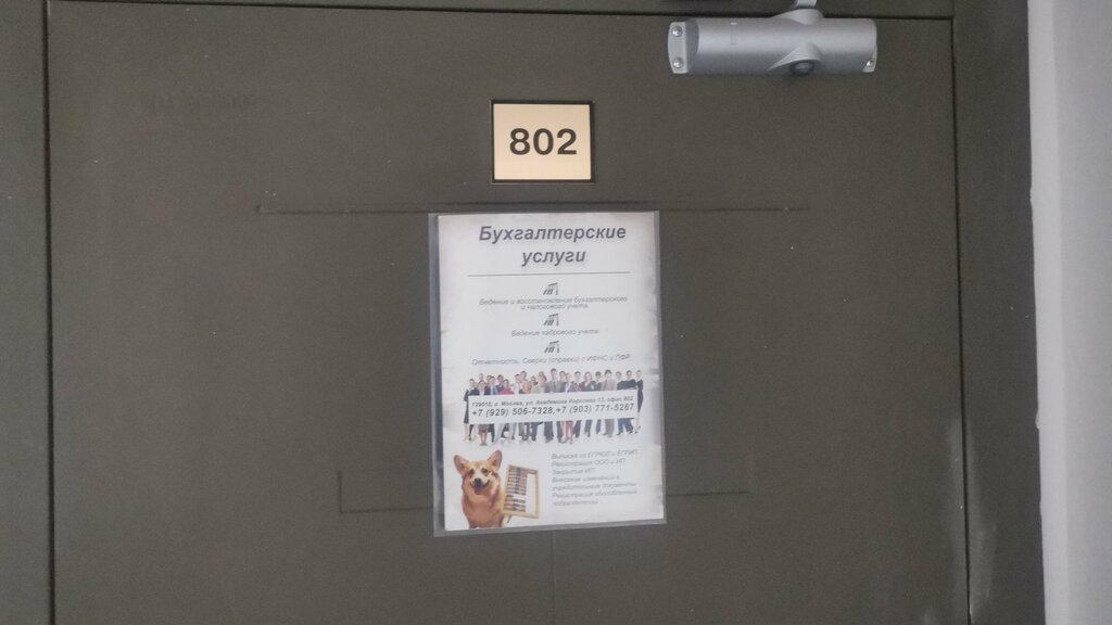 Muhasebeciler Бизнес Ассистент, Moskova, foto