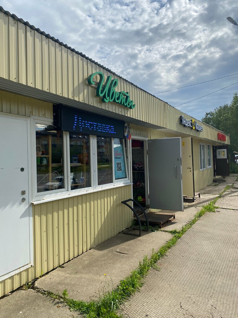 Çiçekçiler Deva, Klin, foto