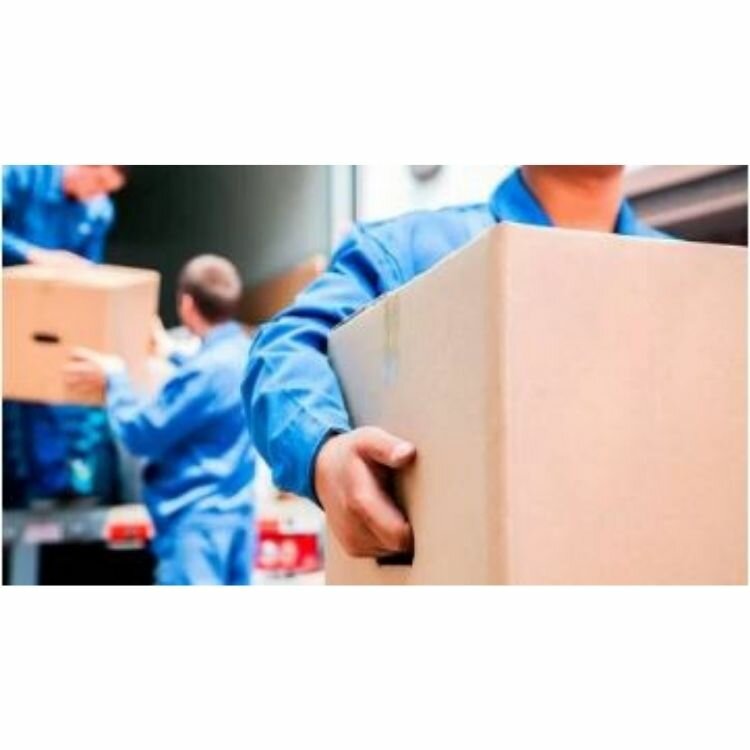 i̇mam hatip eğitim kurumları Servimudanzas Trasteos Mudanzas Bogotá, Bogota, foto