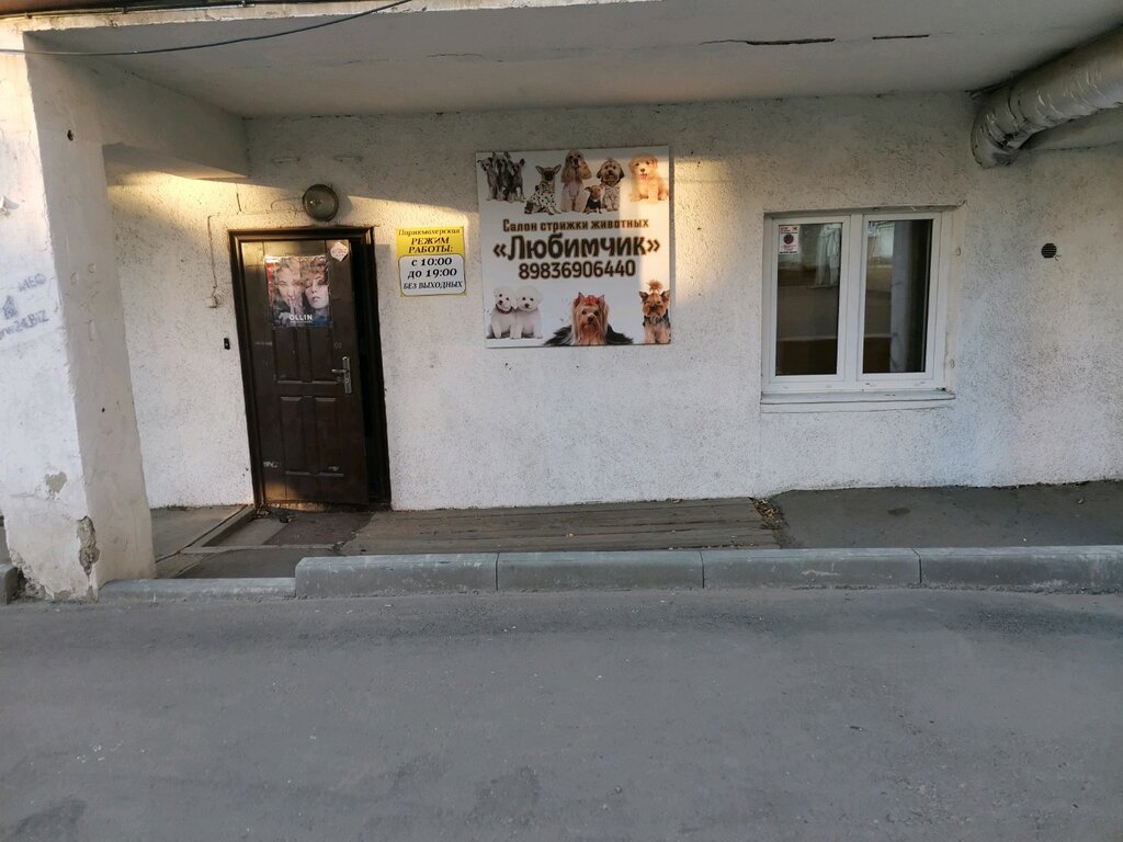 Evcil hayvan kuaförleri Любимчик, Irkutsk, foto