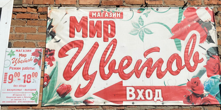 Çiçekçiler Мир цветов, Krasnoyarski krayı, foto