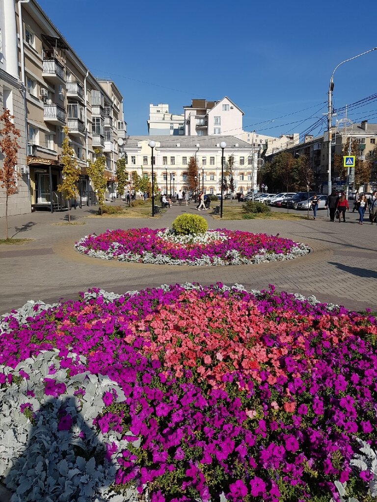 Meydan Сквер Учёных, Voronej, foto