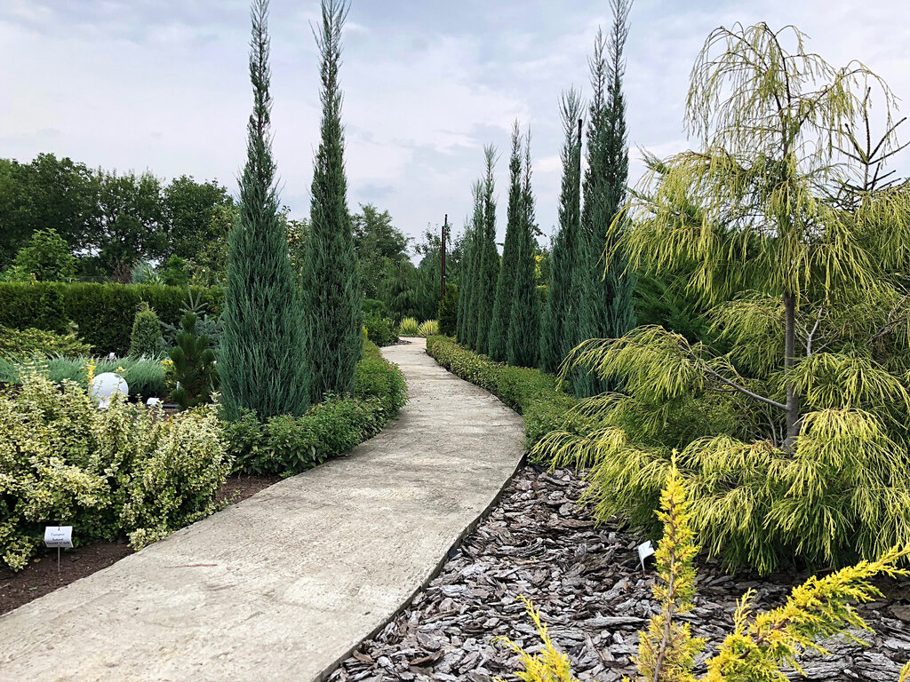 Doğa koruma alanı Ботанический сад, Adıge Cumhuriyeti, foto