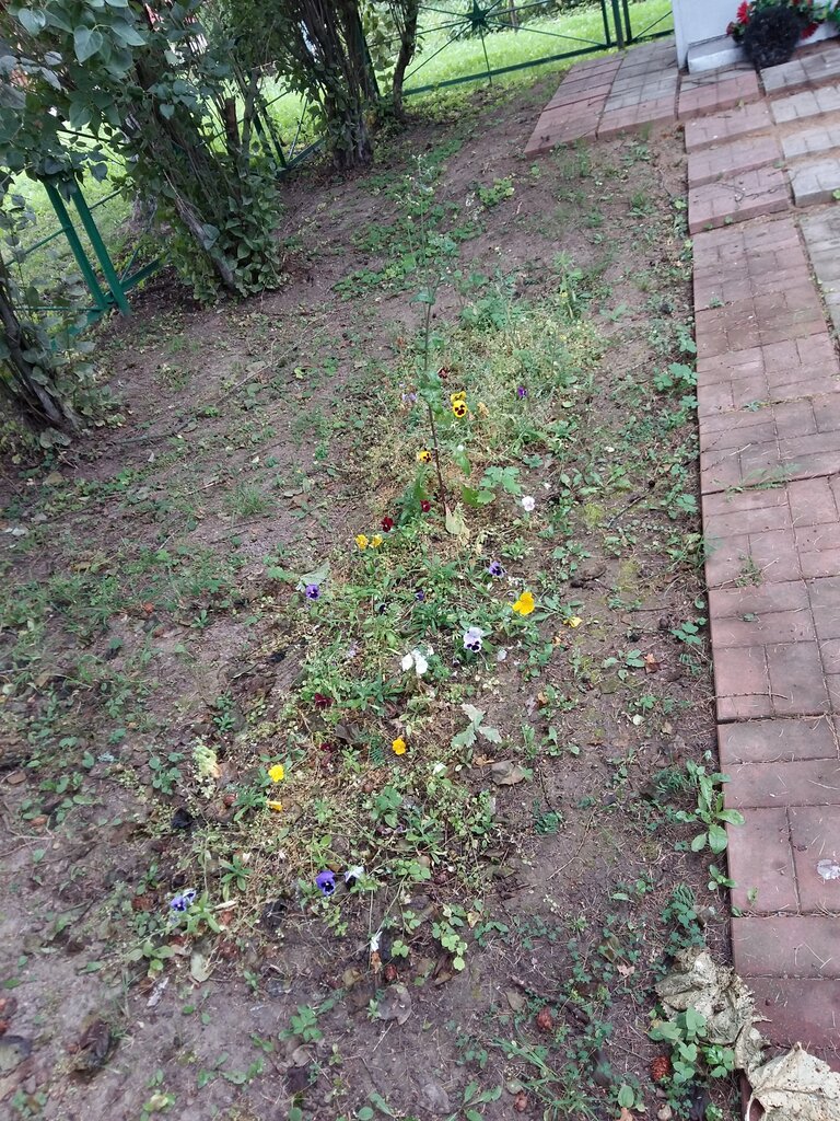 Anıt, heykel Стела, Moskova ve Moskovskaya oblastı, foto