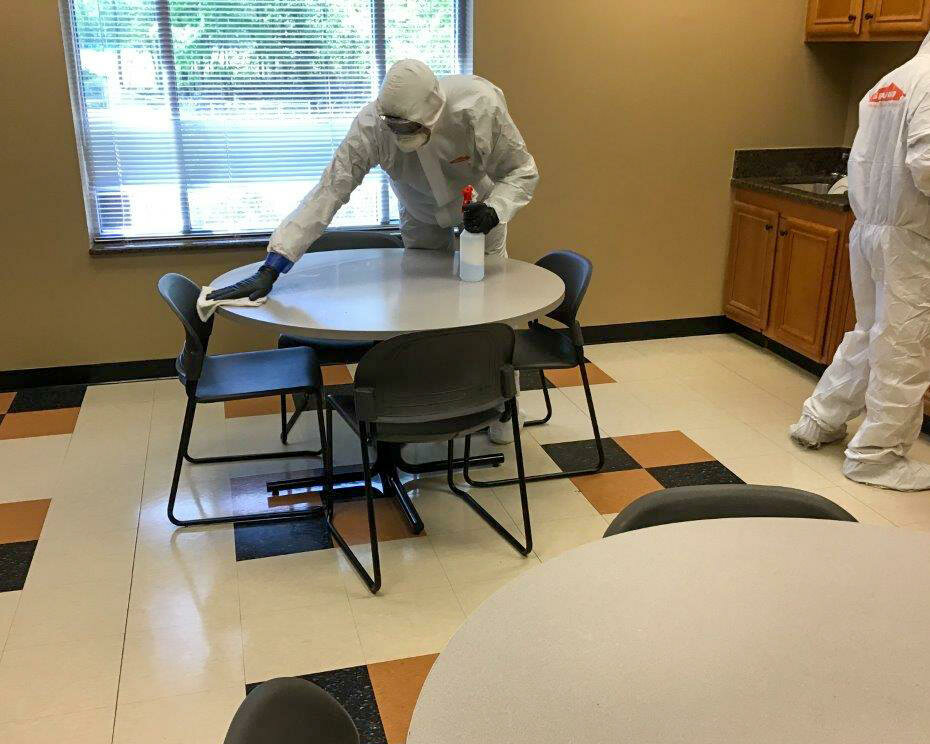 Halı yıkamacılar Servpro of Williamson County, Franklin, foto