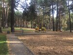 Playground (Tula Region, Aleksin, park Zhalka), oyun alanı  Aleksin'den
