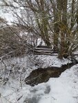 Spring, stream (Bryansk Region, Komarichskiy rayon, Usozhskoye selskoye poseleniye, posyolok Vasilyok), pınar, çay  Brianskaya oblastından