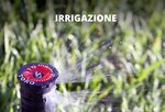 Pratoverde - Toro - Ditch Witch Italia (Venice, province of Padua, Via San Pelagio, 4), bahçe ekipmanları ve teknolojileri  Dünya'dan