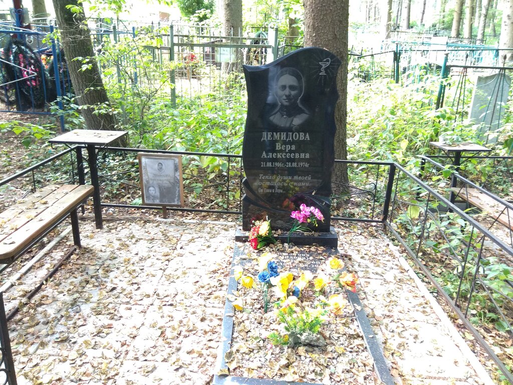 Ünlü kişilerin mezarları В.А. Демидова, Kalujskaya oblastı, foto