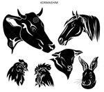 Селянин (2-ya Severnaya ulitsa No:67У), petshop  İşim'den