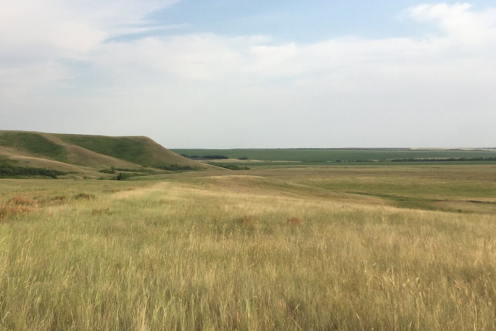 Dağ zirvesi Гора Шихан, Orenburgskaya oblastı, foto