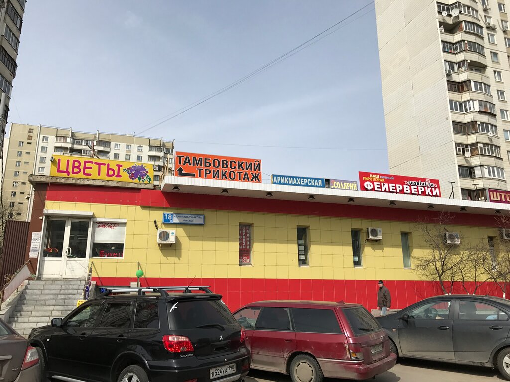 Havai fişek firmaları Rusalut, Moskova, foto