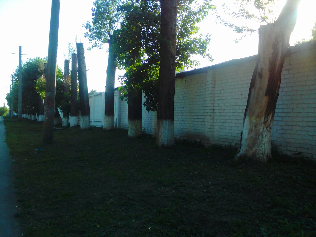 Tramvay garajları Tramvaynoye Depo № 1, Barnaul, foto