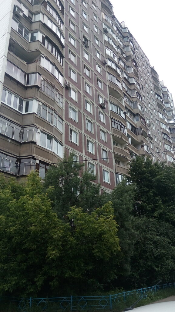 Market Timberg, Moskova, foto