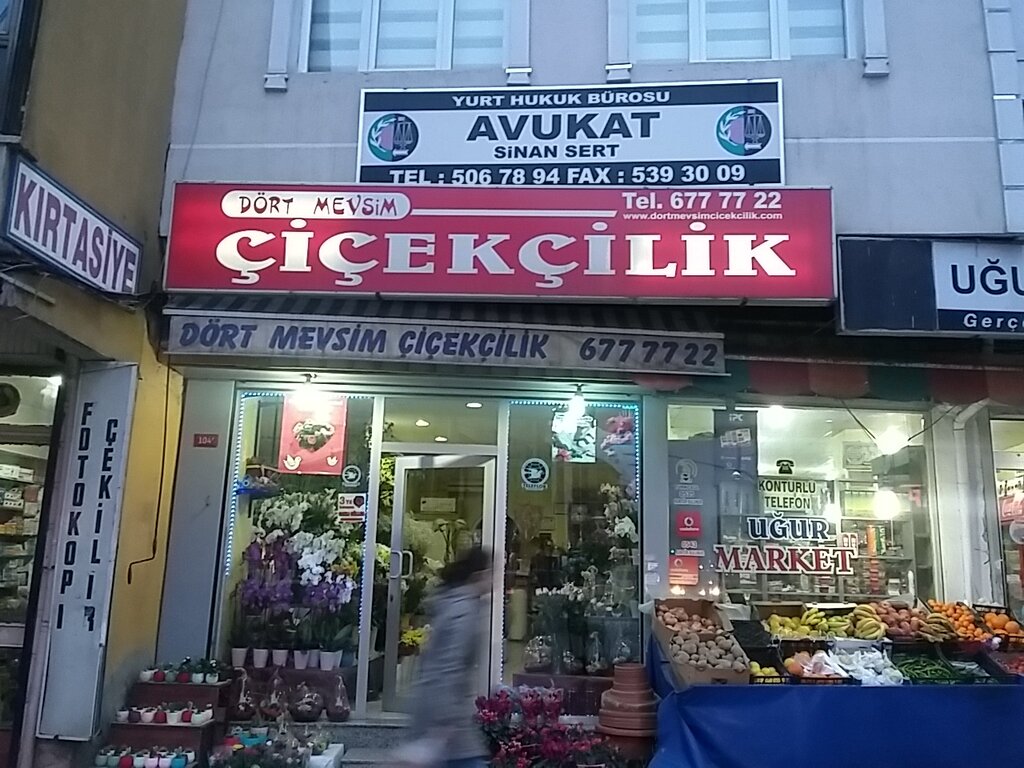 Çiçekçiler Dört Mevsim Çiçekçilik, İstanbul, foto