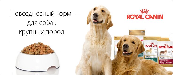 Veteriner eczaneleri Zooapteka V kazhdii dom, Çeliabinsk, foto