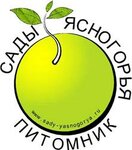 Сады Ясногорья (Tula Region, Yasnogorskiy rayon, selskoye poseleniye Telyakovskoye, posyolok Spitsinskiy), fidan yetiştiriciliği  Tulskaya oblastından