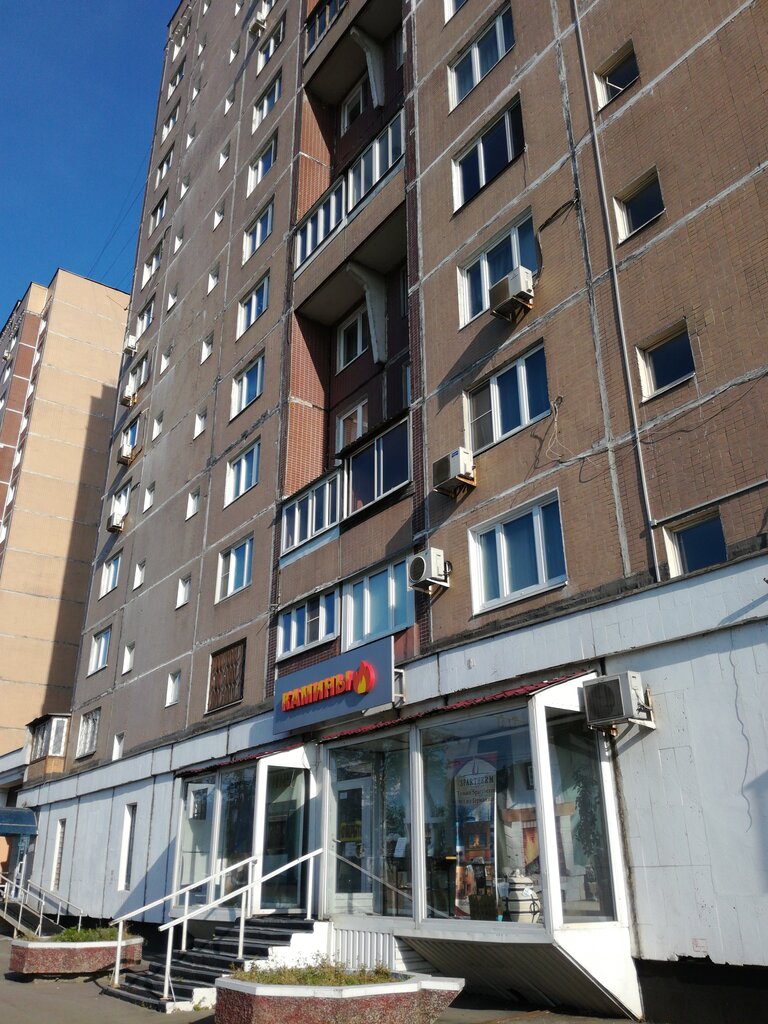 Elektronik eşya mağazaları Kaminy, Moskova, foto