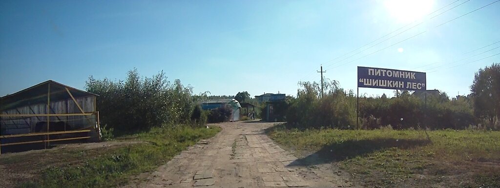 Sera ve bahçe ürünleri Shishkin Les Nursery, Moskova, foto