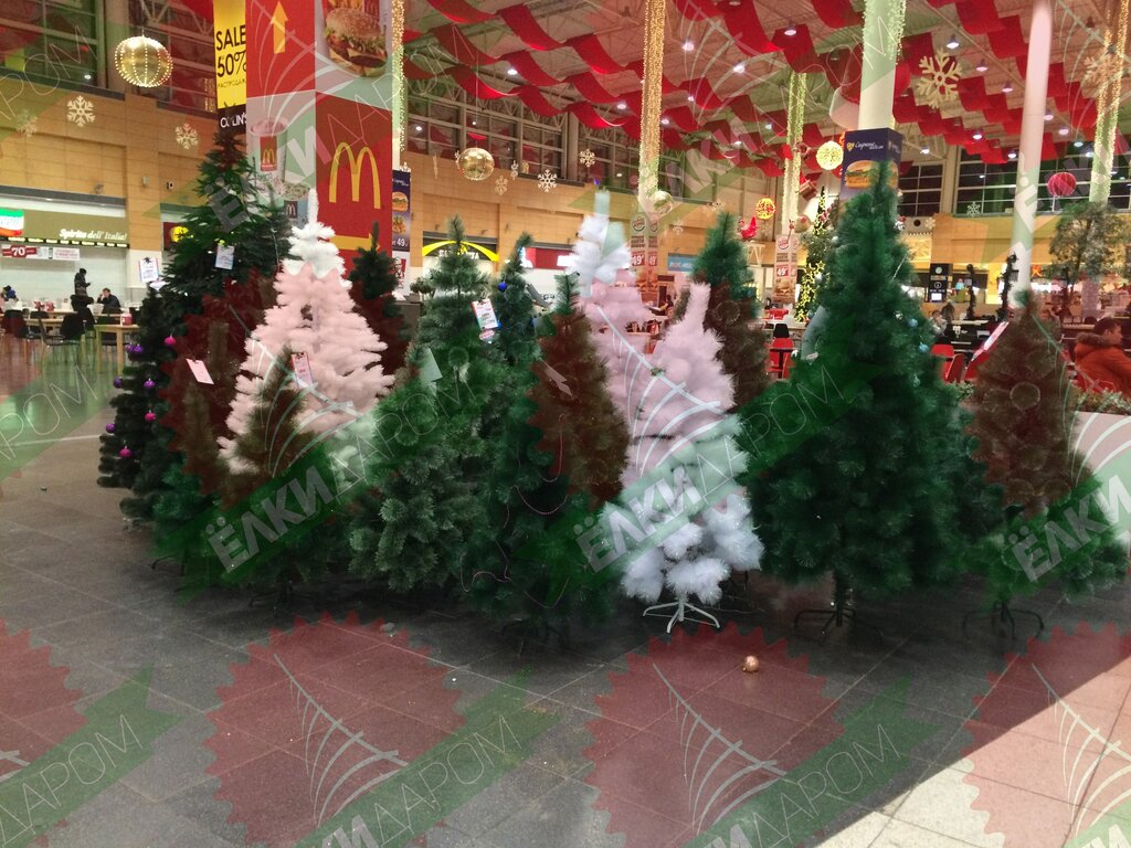 Çam ağacı pazarı Elki Darom, Yekaterinburg, foto