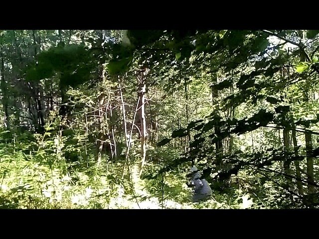 Paintball Peyntbolny klub Zvezda, Perm, foto